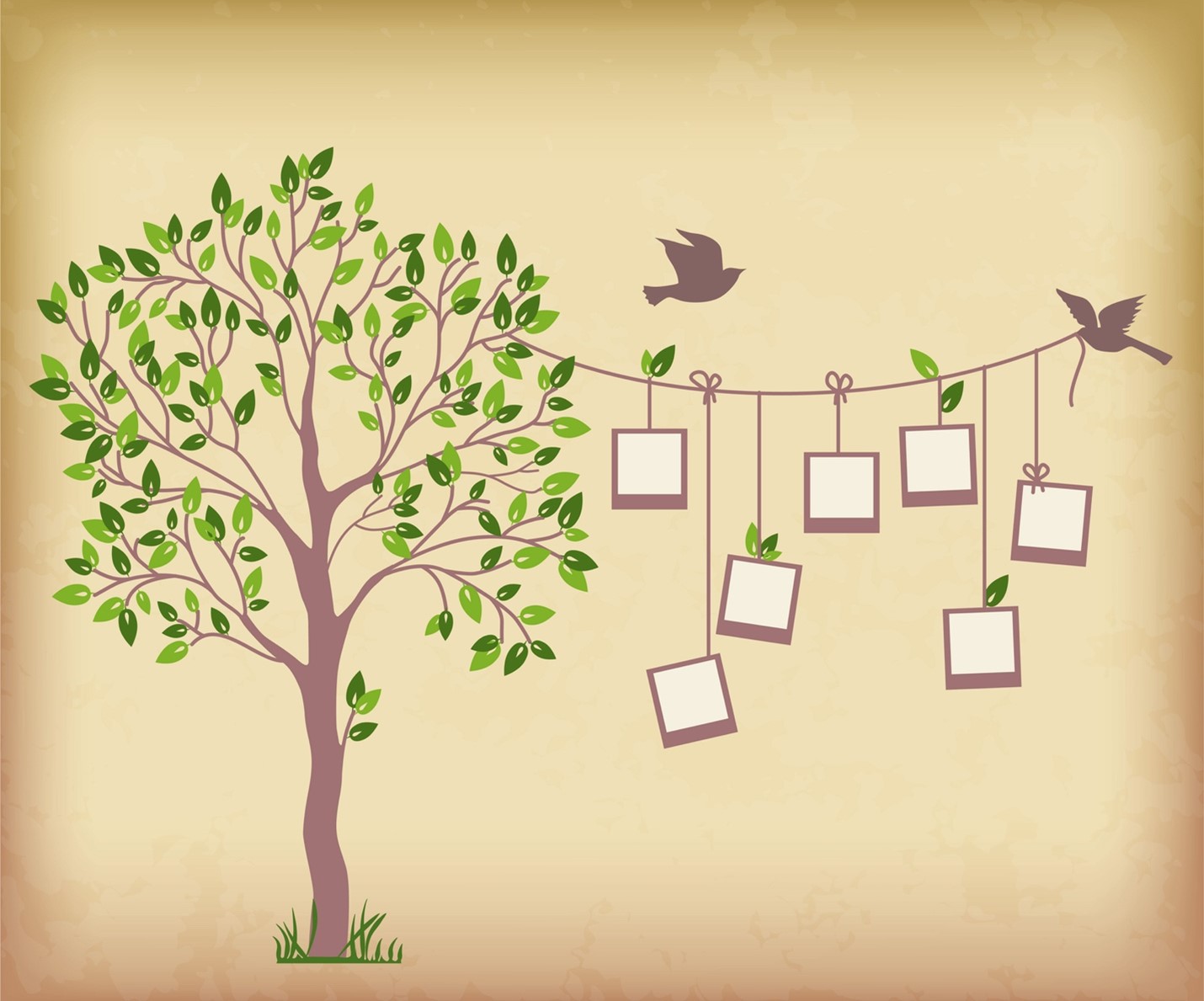Genograms in Therapy - SWEET INSTITUTE - Continuing Education for ...